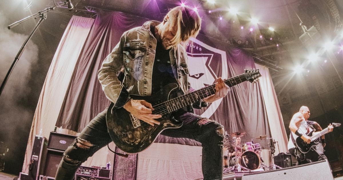 Chris Cain | DiMarzio